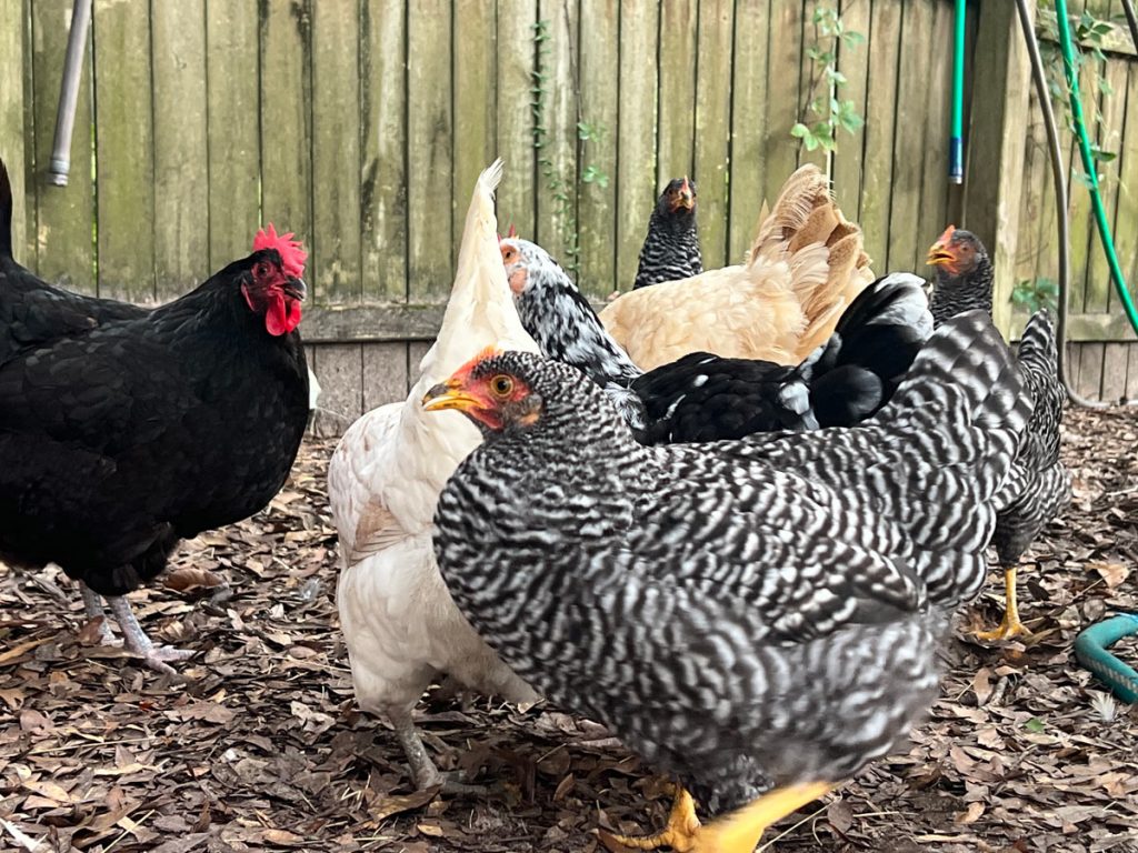 Facilities | Lost Lake RV Park